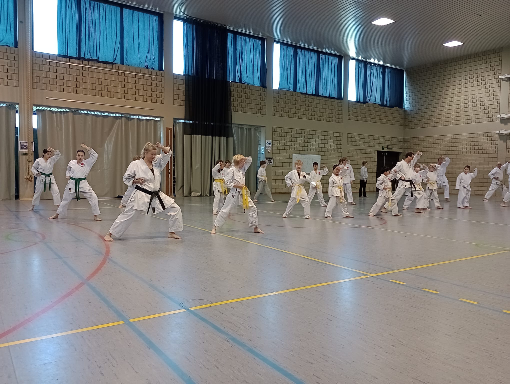 Andere trainingen | Tasseikan